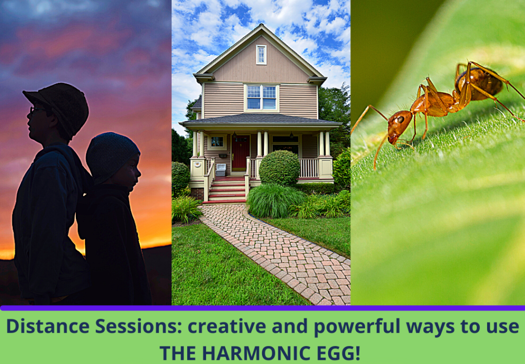 Distance sessions: creative and powerful ways to use THE HARMONIC EGG®! You will be amazed ...