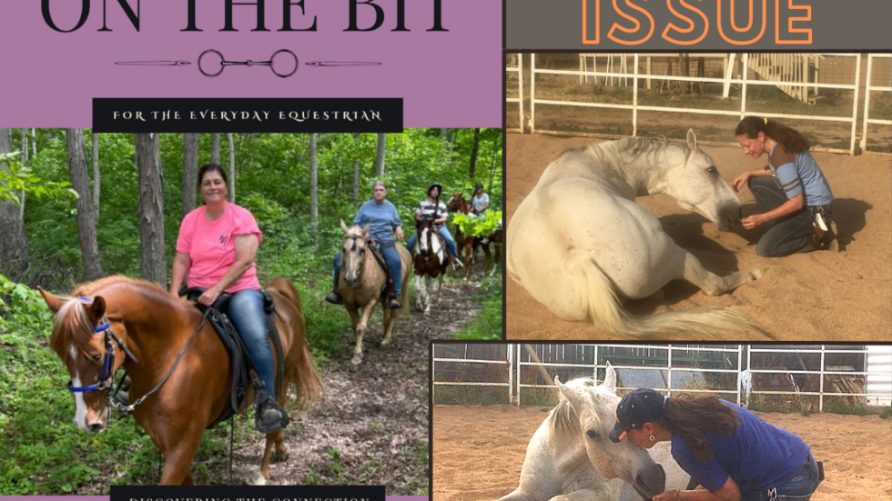 On The Bit A Spiritual Connection With A Majestic Soul By Gail Lynn on-the-bit-a-spiritual-connection-with-a-majestic-soul-by-gail-lynn